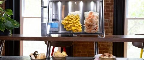 Mella: The Smart Mushroom Fruiting Chamber - FirstBuild