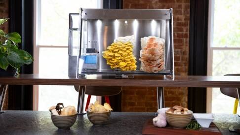 Mella: The Smart Mushroom Fruiting Chamber - FirstBuild